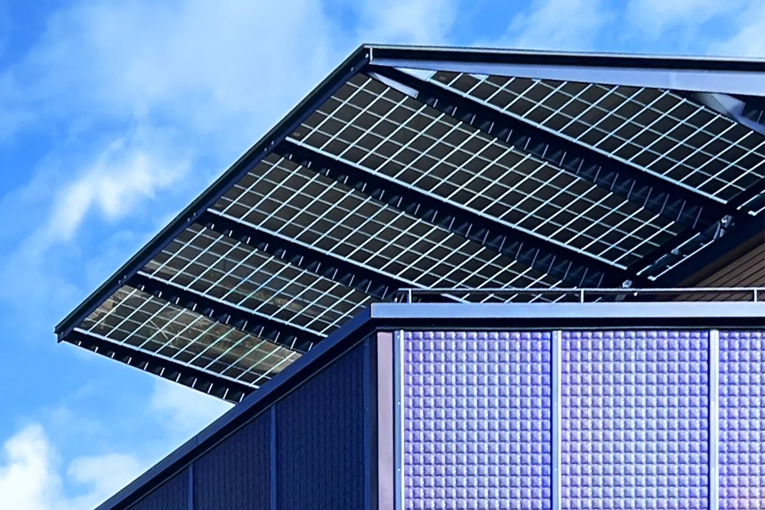 Unser Beitrag zu den Nachhaltigkeitstagen 2024 der Stadt Uster ein voller Erfolg war! / Kämpfen ...